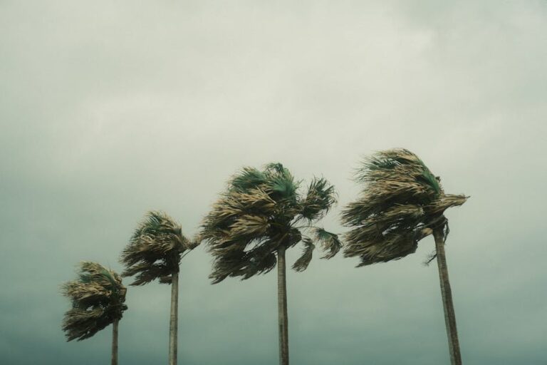 From Category 1 to 5: Decoding the Hurricane Wind Scale – Insurance ...