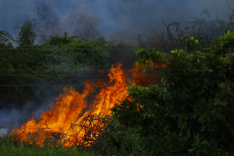 Mitigation Matters: How To Safeguard Against Fires | Insurance Claim ...